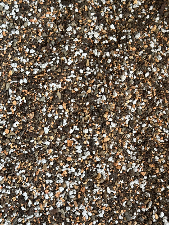 Cactus & Succulent Soil - Fine Mix – Bonsai Supply
